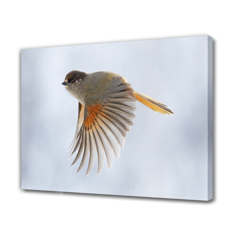 Bird Wings Flap Flight Canvas Poster Bedroom Decor Sports Landscape ...