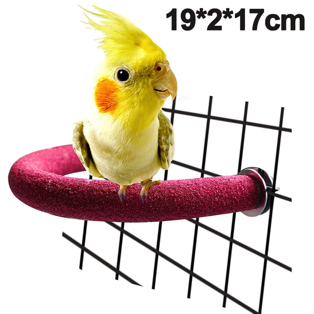 Bird Wood Perch Stand Toys, U-Shaped Curved Corner Pet Parrot Frosting ...