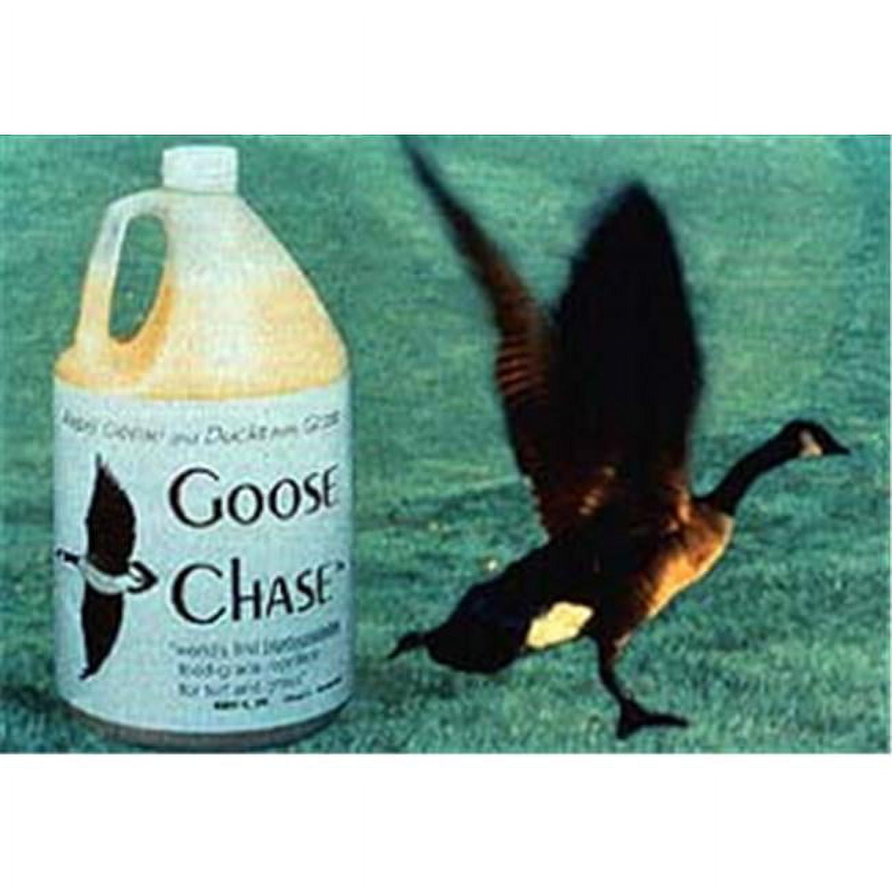 Bird-X Bird Stop Goose Chase Repellent Chemical - Walmart.com