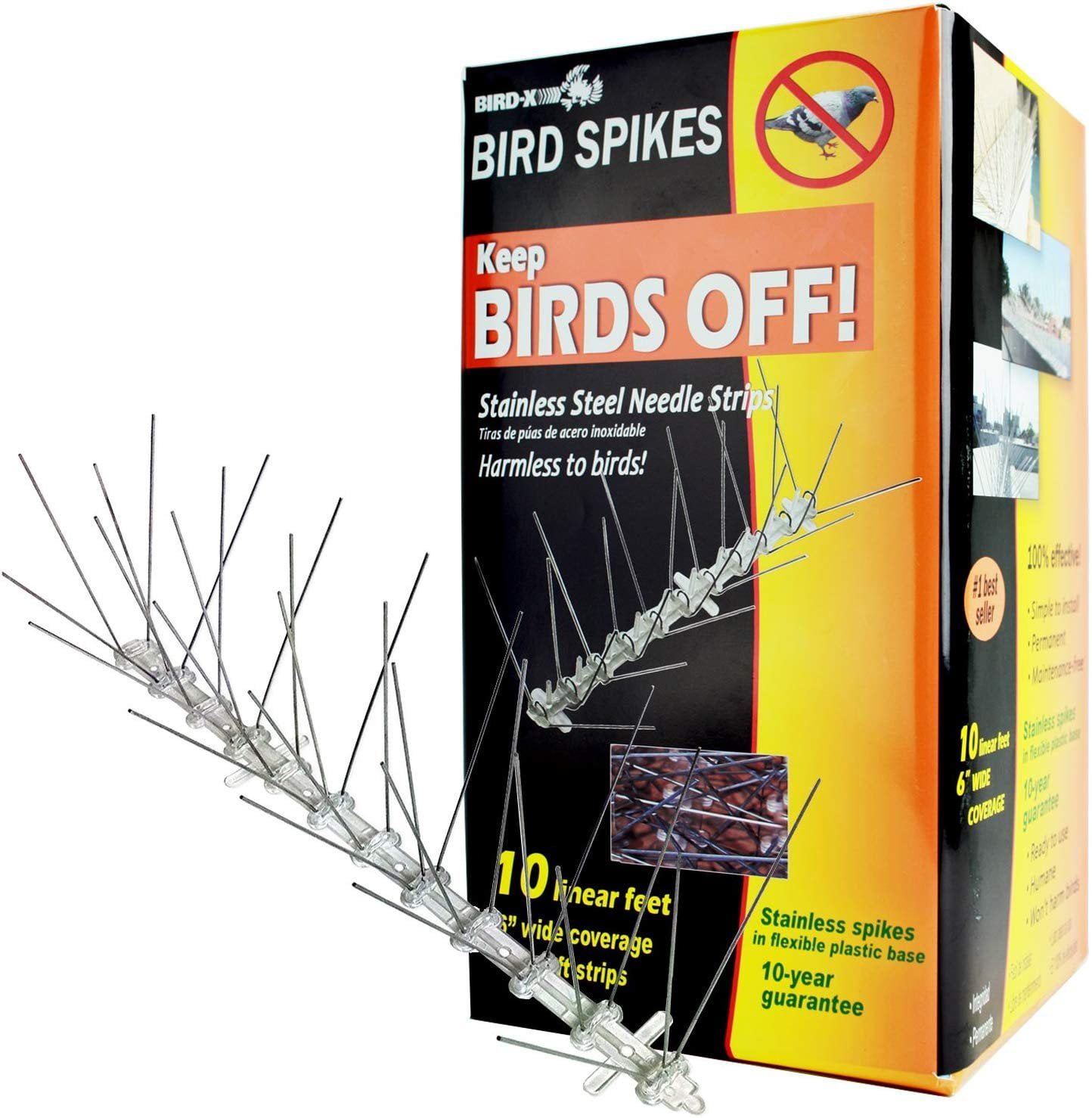 Bird-X Inc Stainless Steel Bird Spikes Kit - Bird Deterrent - Covers 10 ...