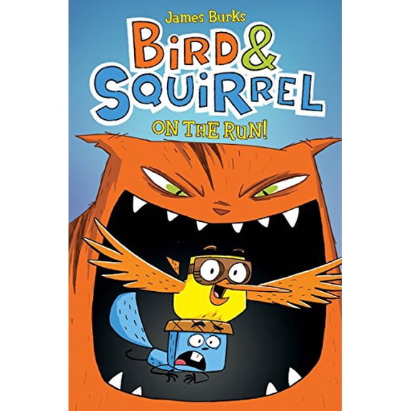 Bird & Squirrel on Ice (Bird & Squirrel #2) (Paperback) - Walmart.com