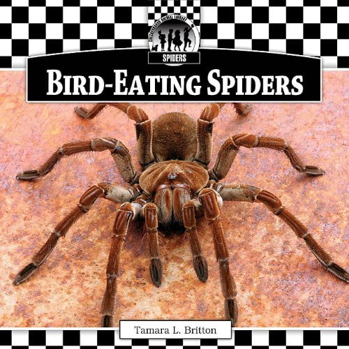 Bird Eating Spiders