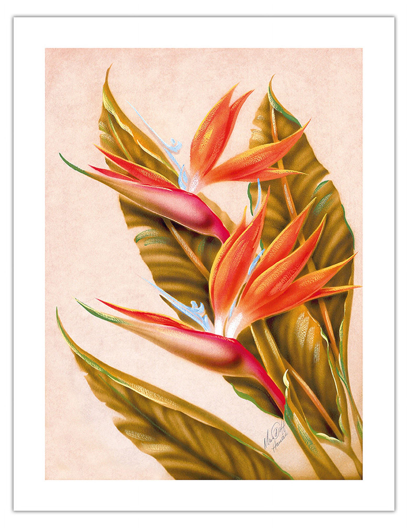Bird of Paradise Flower - Hawai’i - Vintage Hawaiian Airbrush Art by ...