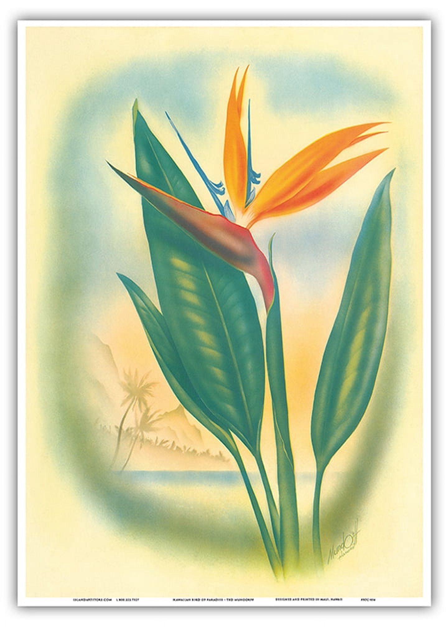 Bird of Paradise - Hawai’i - Vintage Hawaiian Airbrush Art by Ted ...