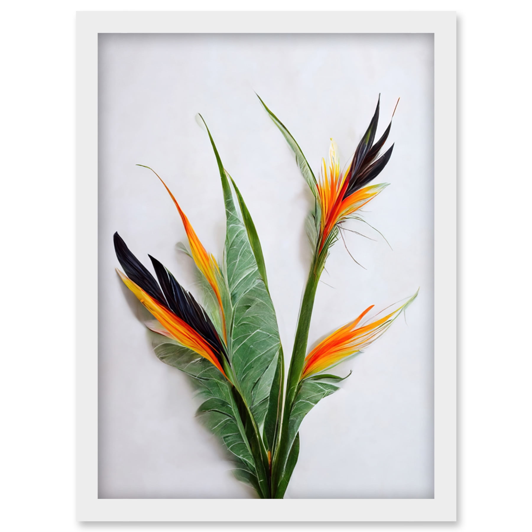 Bird of Paradise Stem Leaves and Flowers Tropical Plant Botanical ...