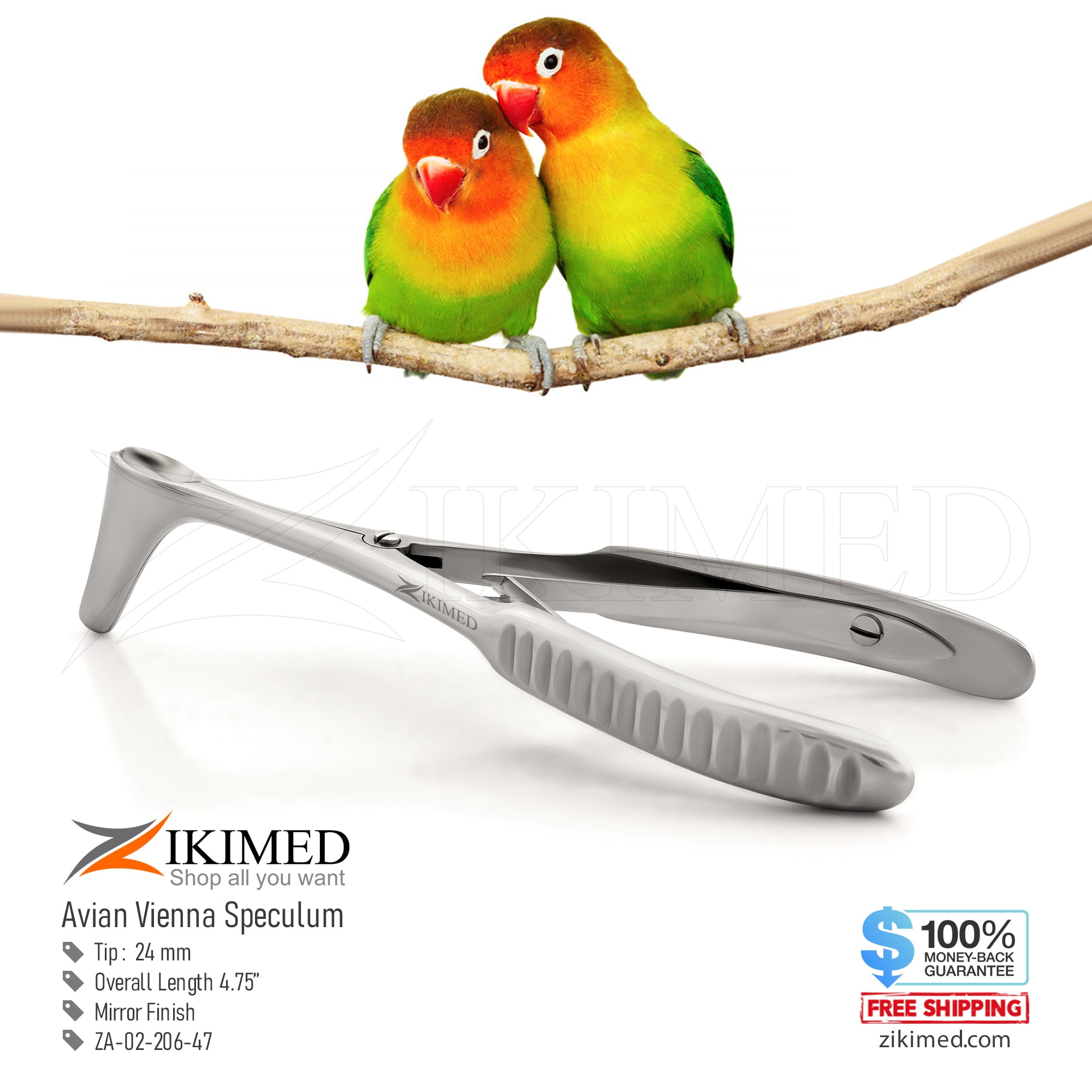 Bird's or Chicks Avian Vienna Speculum Large Stainless Steel 14 Cm ...