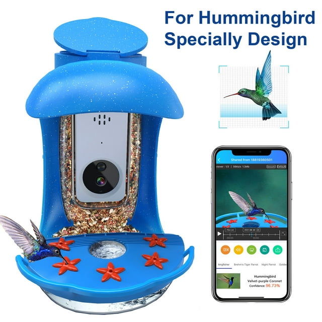 Birddock Digital Outdoor Hummingbird Feeder with AI Camera and SD Card ...