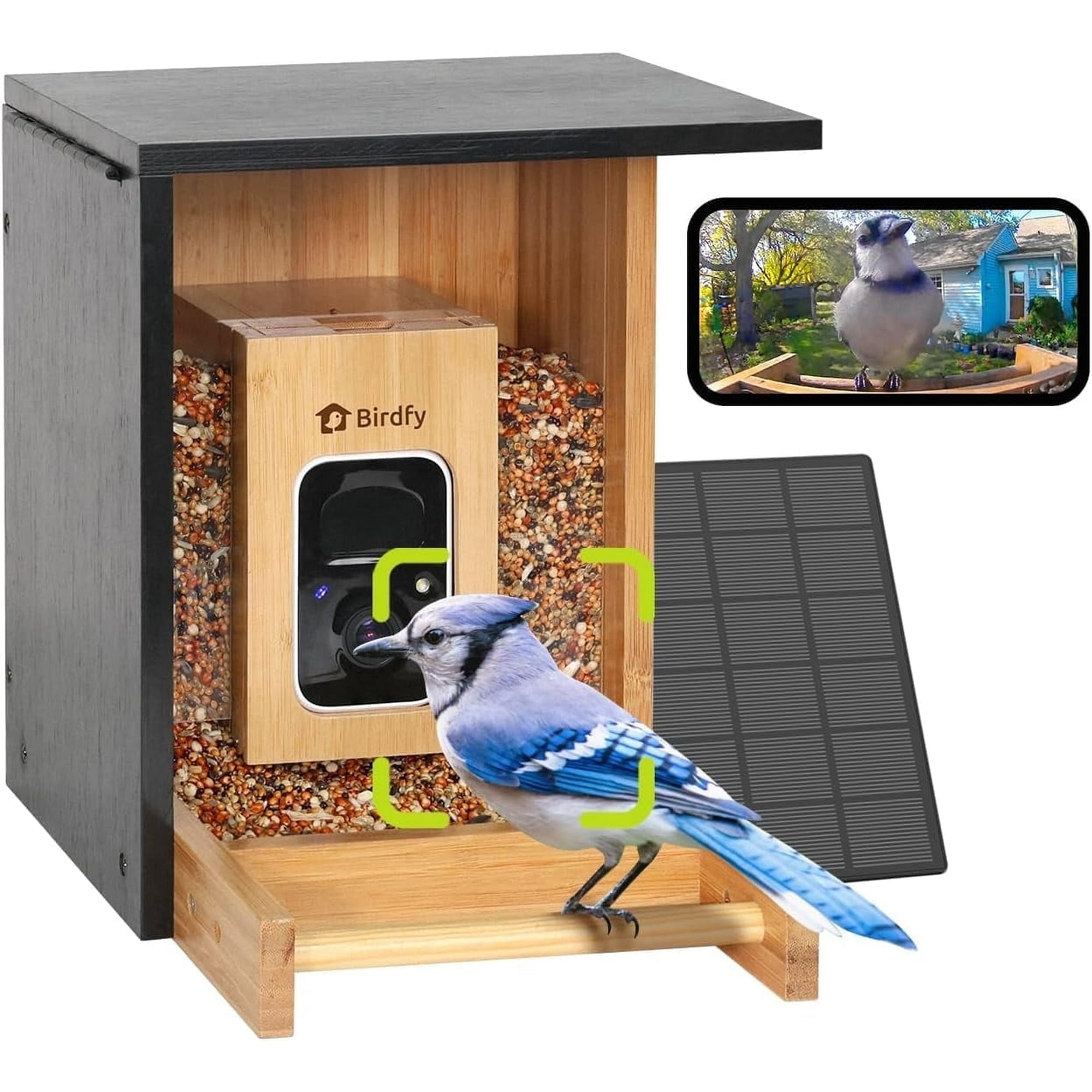 Birdfy AI Smart Bird Feeder with Camera, High-End Bamboo, Mini in Size ...