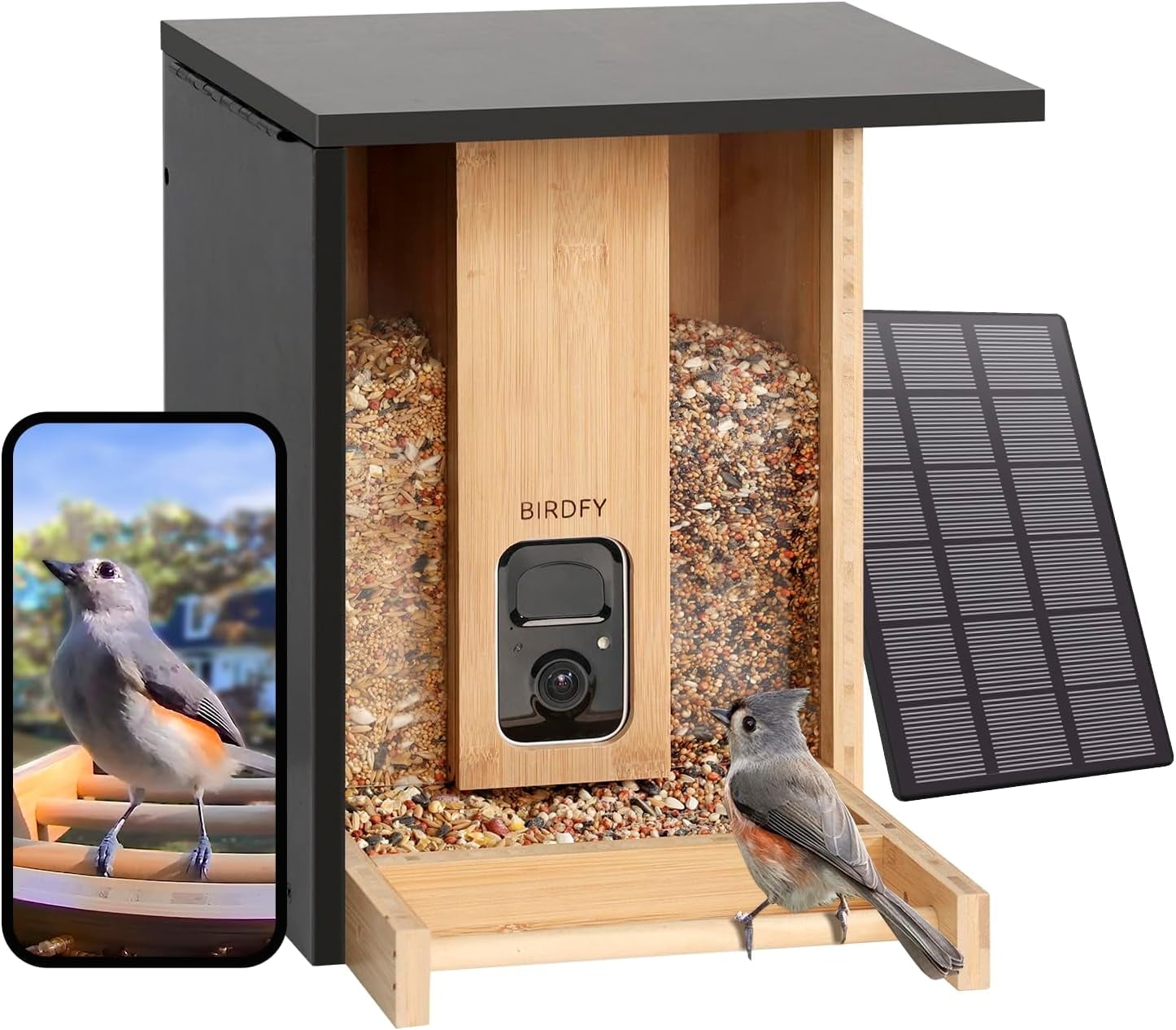 Birdfy Bamboo Bird Feeder with Solar-Powered Camera, Auto-Capture ...