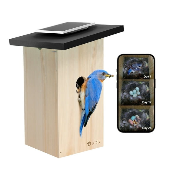Birdfy Smart Bird Houses for Outside Solar Powered, 1080P HD Live View ...