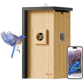 Birdfy Smart Bird Houses for Outside Solar Powered, 1080P HD Live View ...