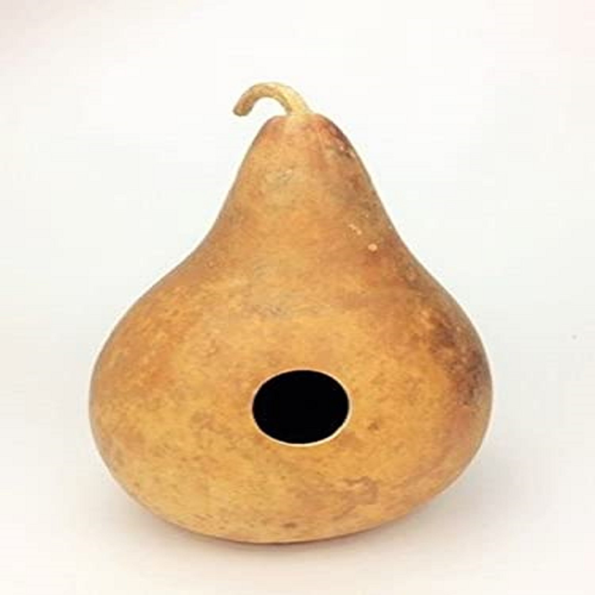 Birdhouse Gourd Seeds - 500 Count Seed Pack - Non-GMO - a Hard-shelled ...