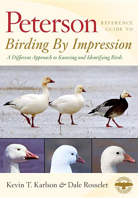 Birding by Impression: A Different Approach to Knowing and Identifying ...