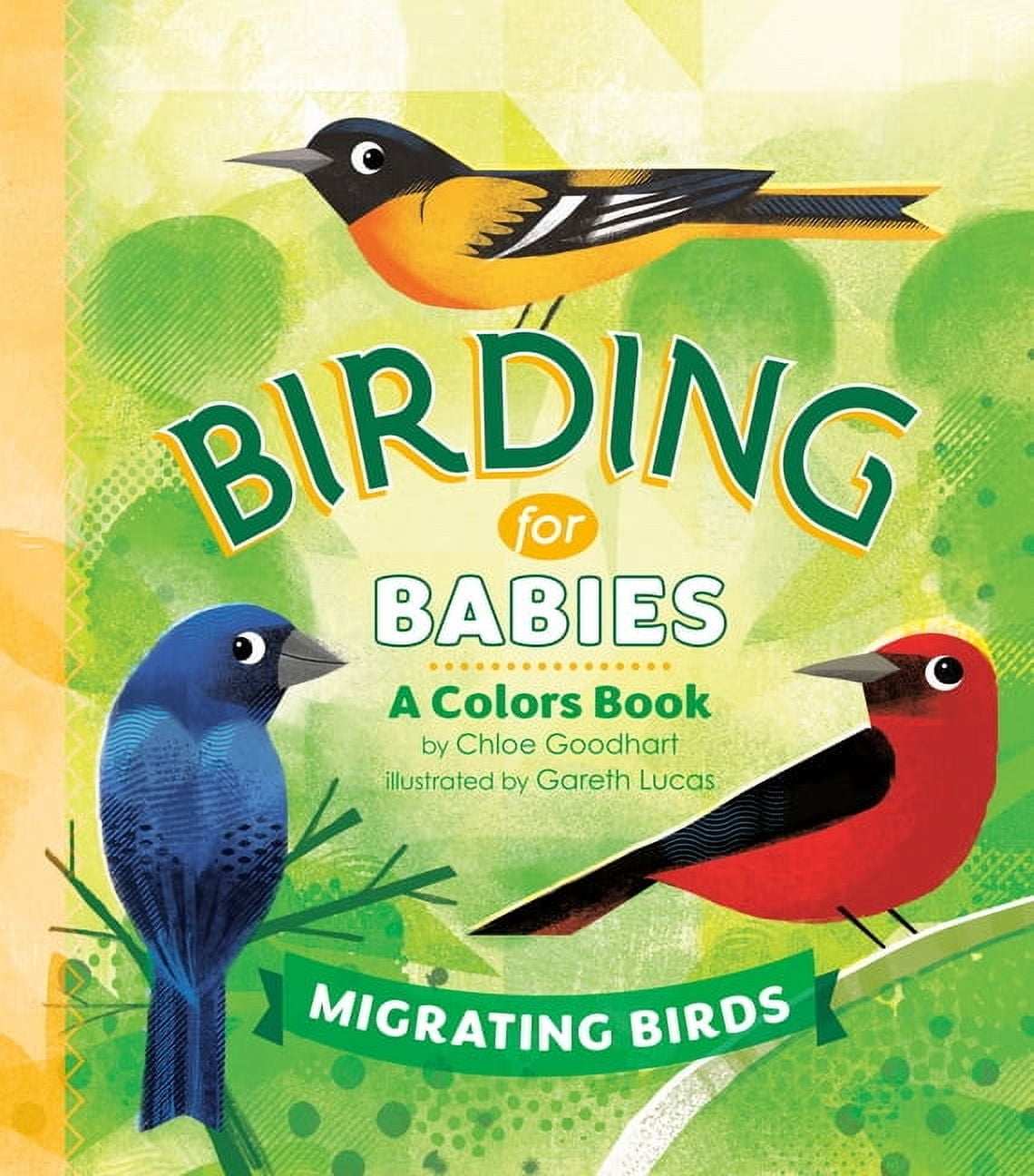 Birding for Babies: Migrating Birds: A Colors Book, (Board Book ...