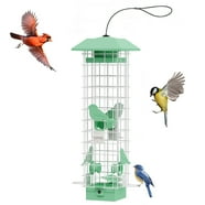 Backyard Essentials Bluebird Feeder Bird Seed and Mealworms Bird Feeder ...