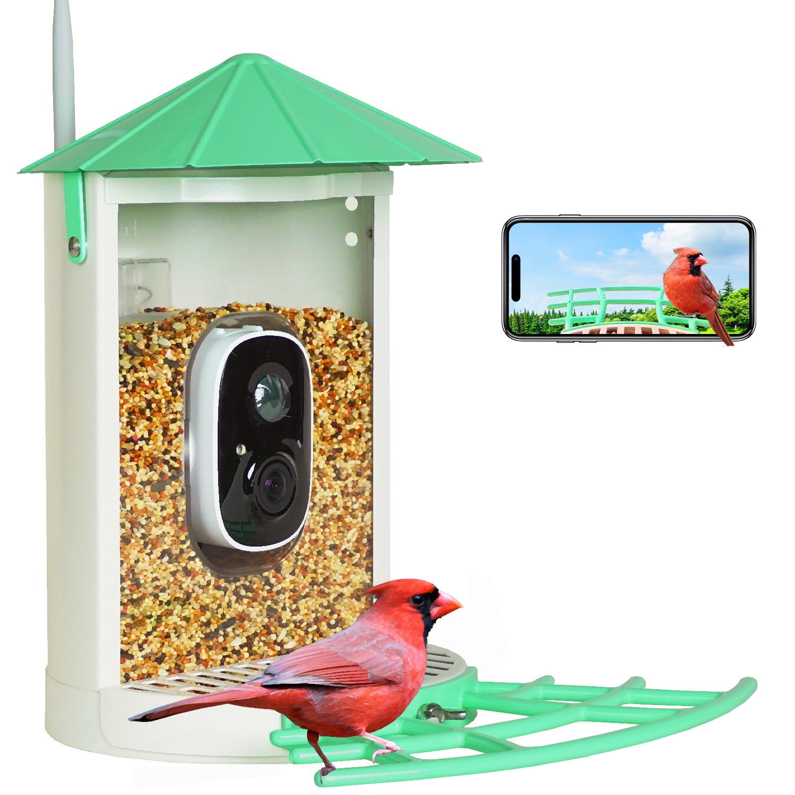 Birdkiss Smart Bird Feeder with Camera, Metal Squirrel Proof Bird ...
