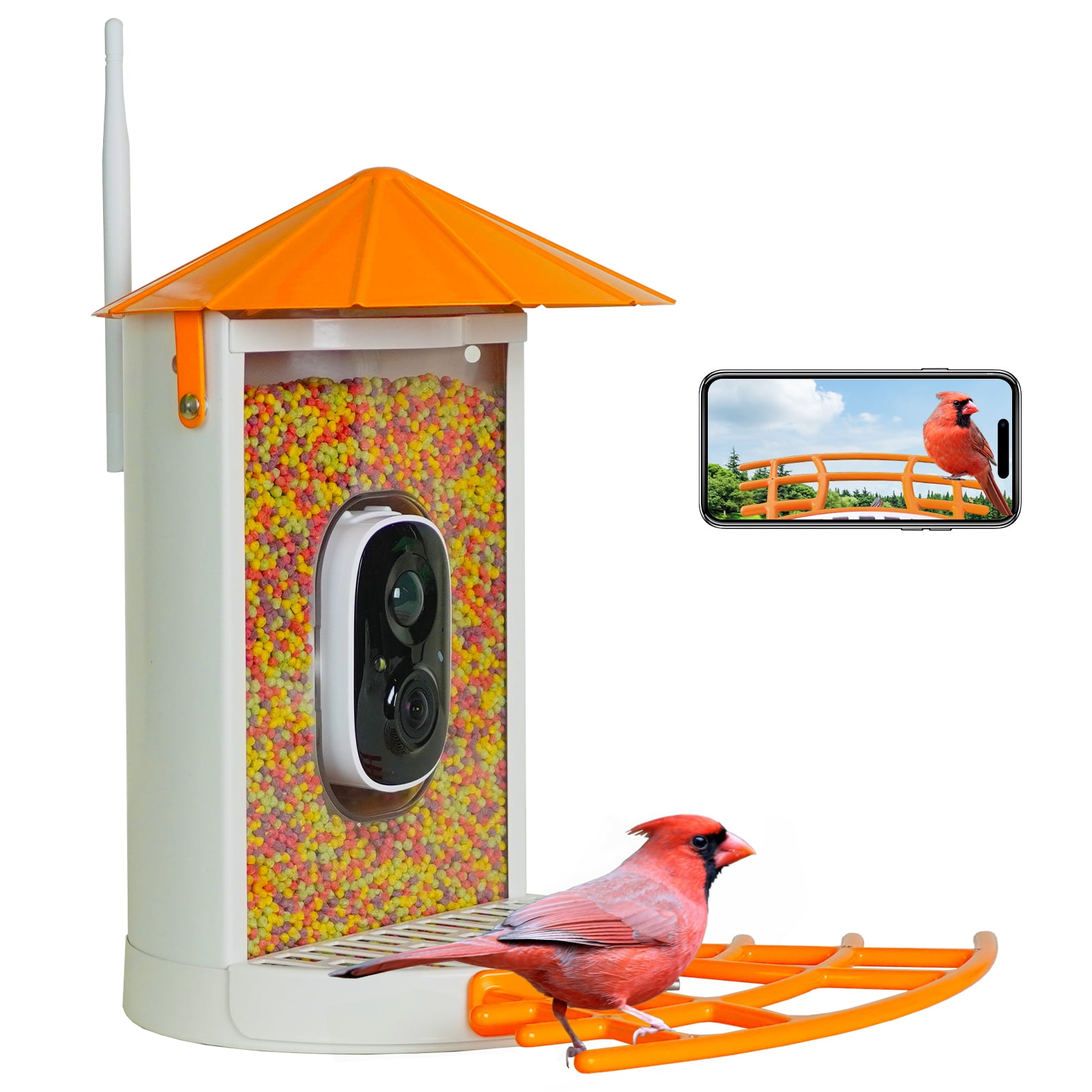 Birdkiss Smart Bird Feeder with Camera, Metal Squirrel Proof Bird ...