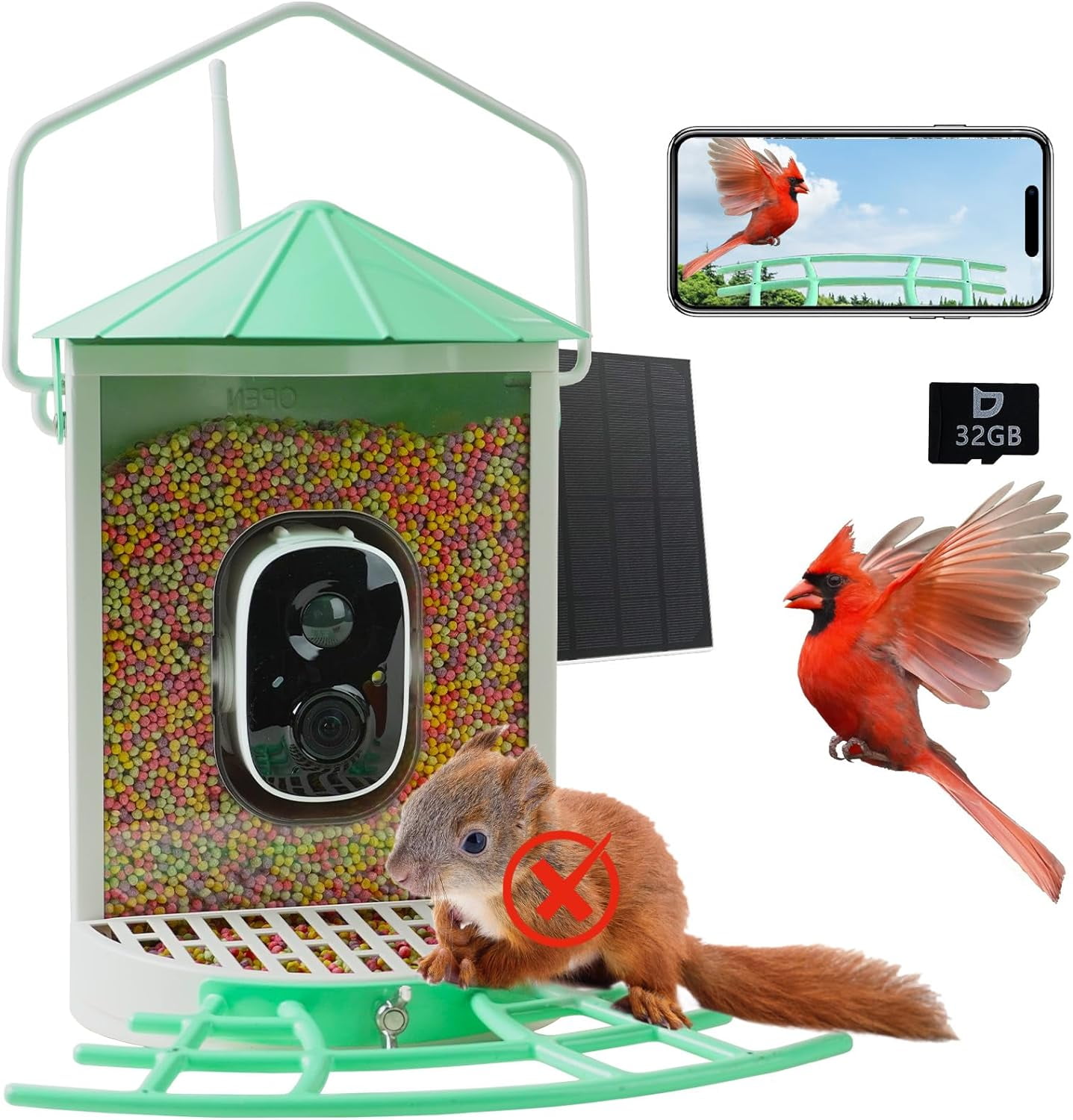Free Shipping! Birdkiss Smart Bird Feeder with Camera, Metal Squirrel ...