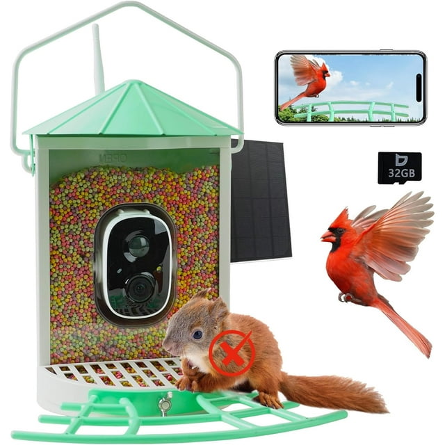 Free Shipping! Birdkiss Smart Bird Feeder with Camera, Metal Squirrel ...