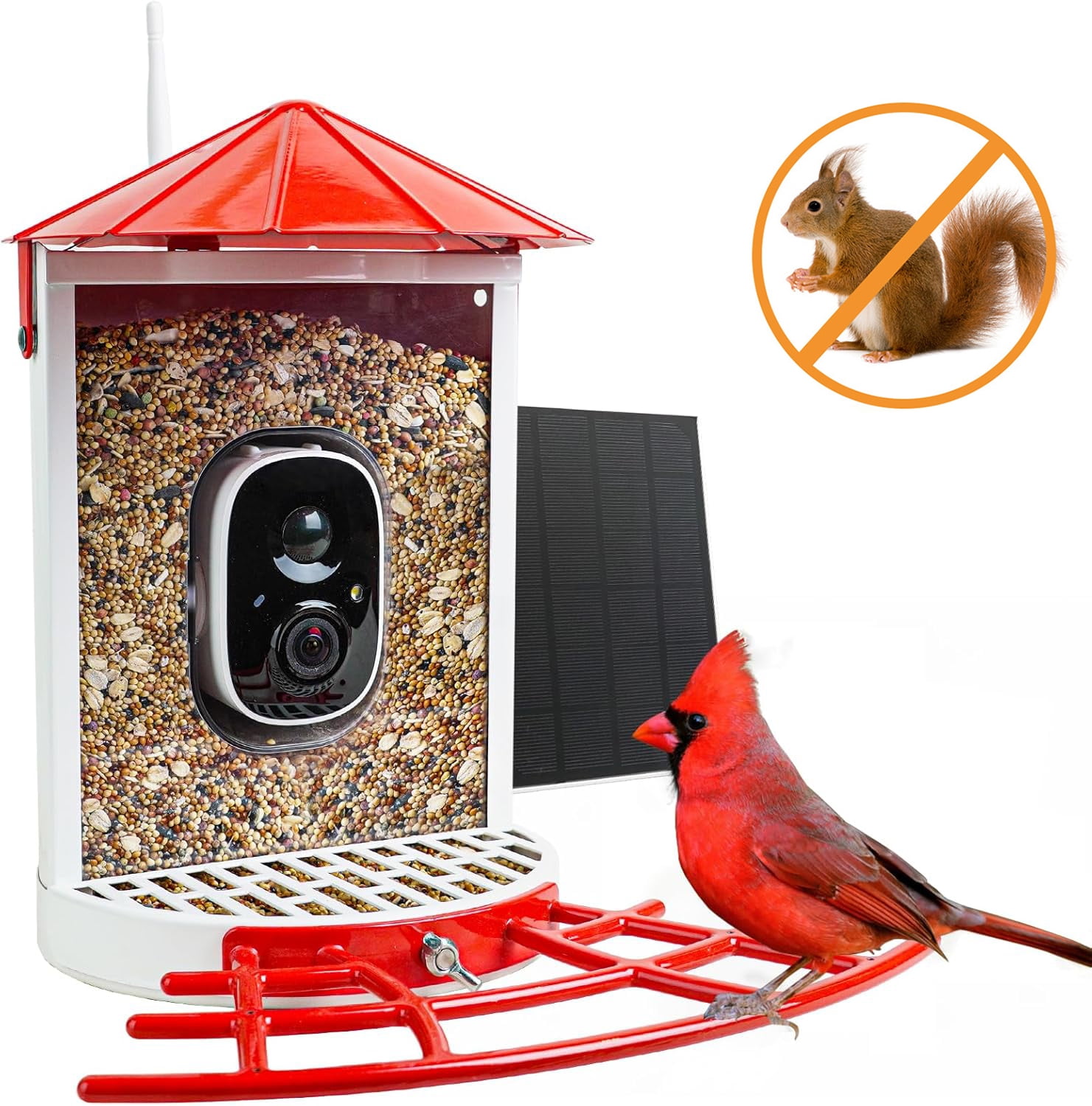 Birdkiss Smart Bird Feeder with Camera, Metal Squirrel Proof Bird ...