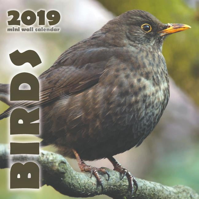 Birds 2019 Mini Wall Calendar (Paperback) - Walmart.com