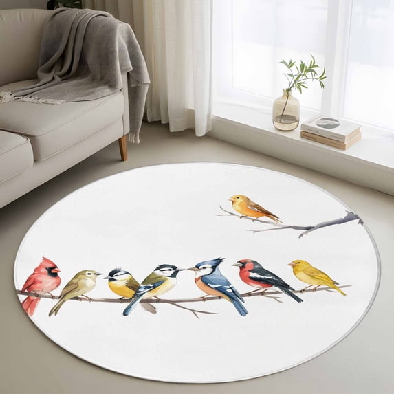 Birds 3ft Area Rug, Bird Vintage Watercolor Washable Non-Slip Small ...