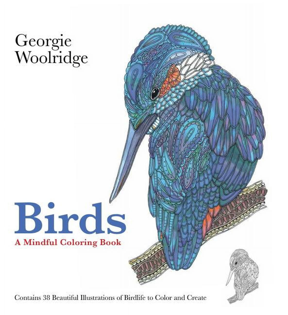 Birds: A Mindful Coloring Book (Paperback) - Walmart.com