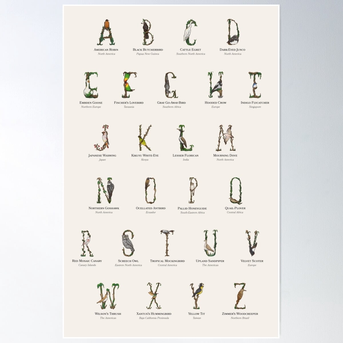 Birds Alphabet Poster Poster Wall Art, Modern Wall Decor For Living ...