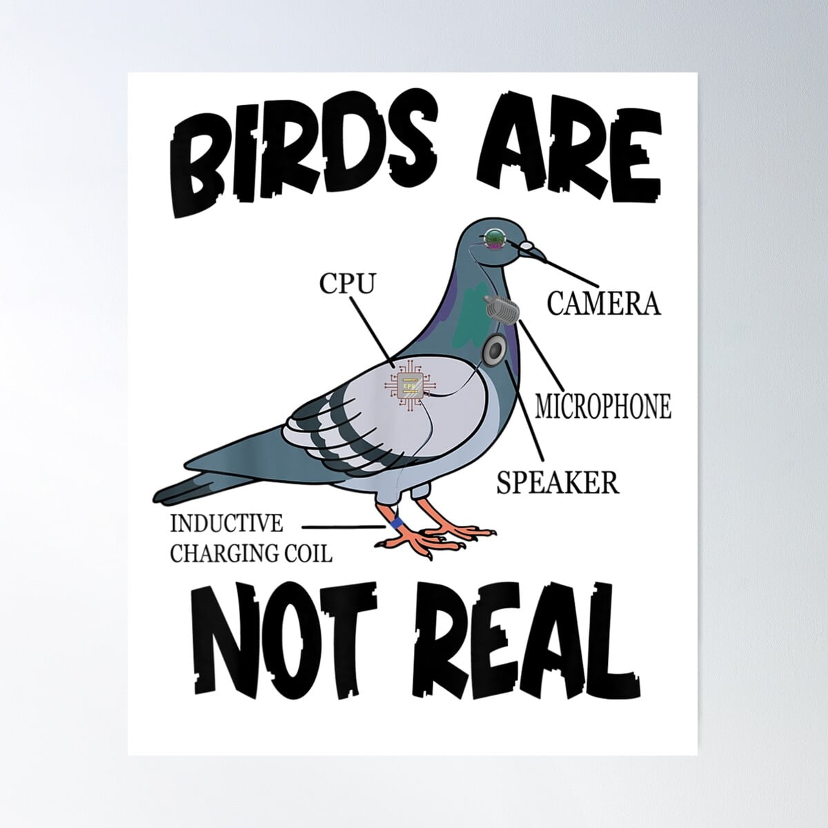 Birds Are Not Real Funny Bird Spies Conspiracy Theory Birds Poster Wall ...