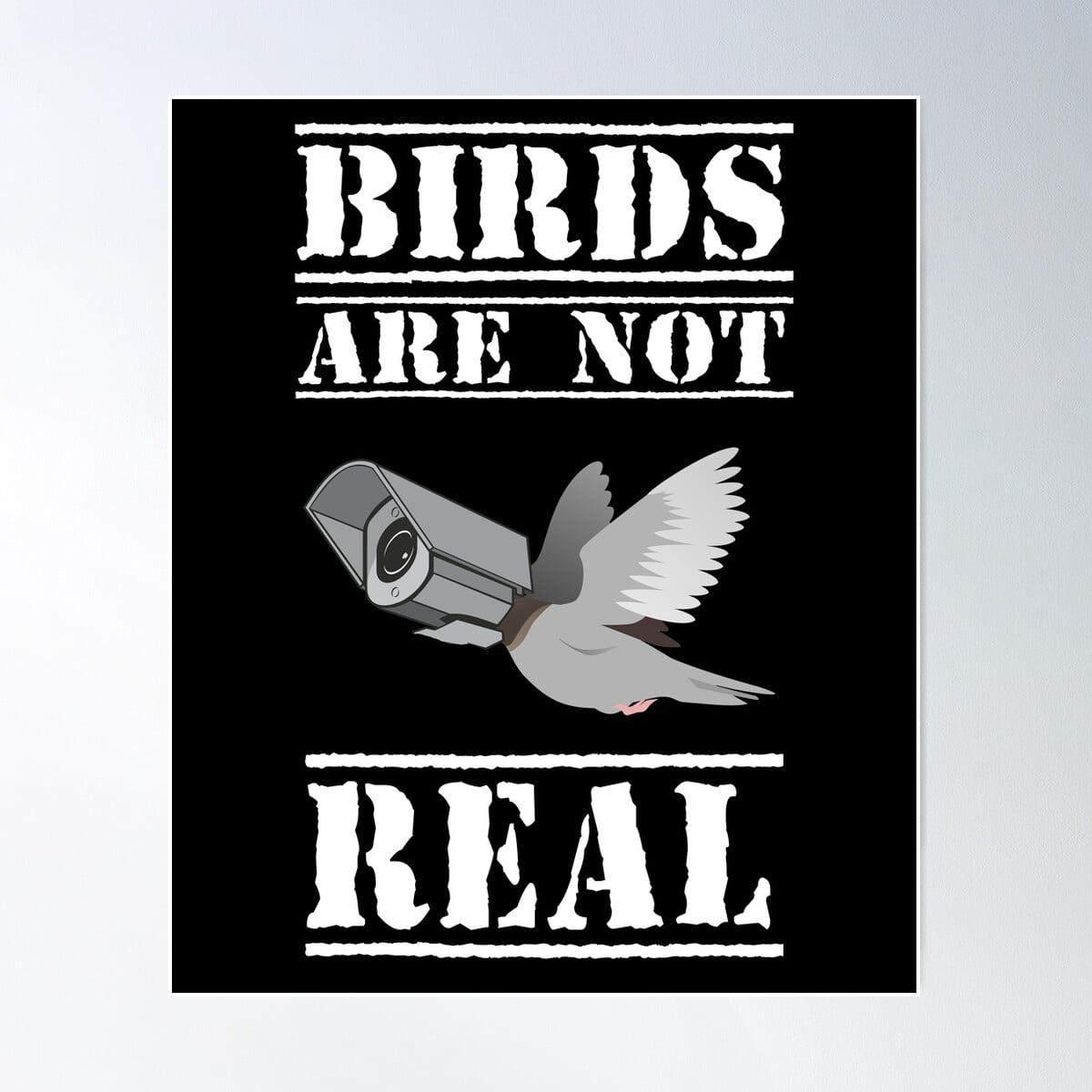 Birds Are Not Real Funny Conspiracy Theory Bird Lover Poster Wall Art ...