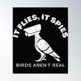 Birds Are Not Real It Flies It Spies Poster Wall Art Bedroom Wall Art ...