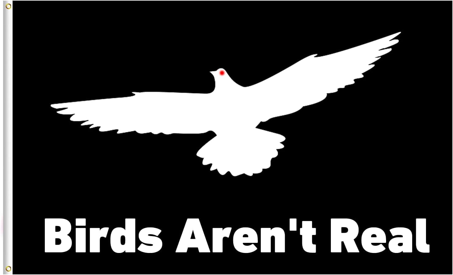 Birds Aren't Real Flag, 3Ply Polyester, Heavy Duty, Double Sided ...