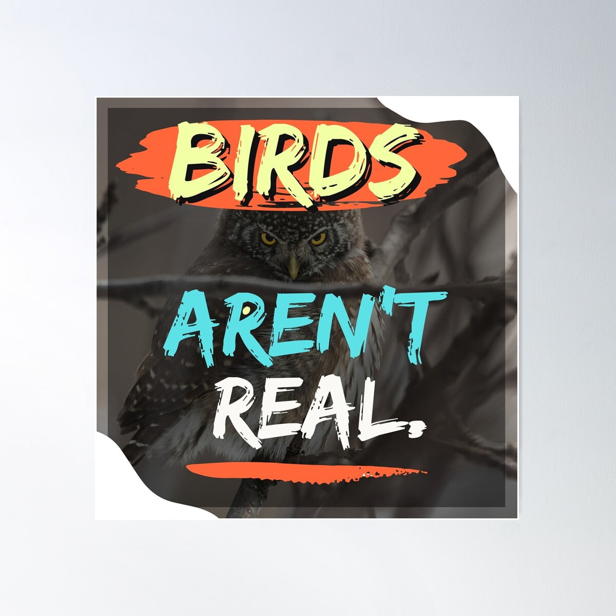 Birds Arent Real Products(Poster, T-Shirts, Mugs, Bags, Etc..) In 2022 ...