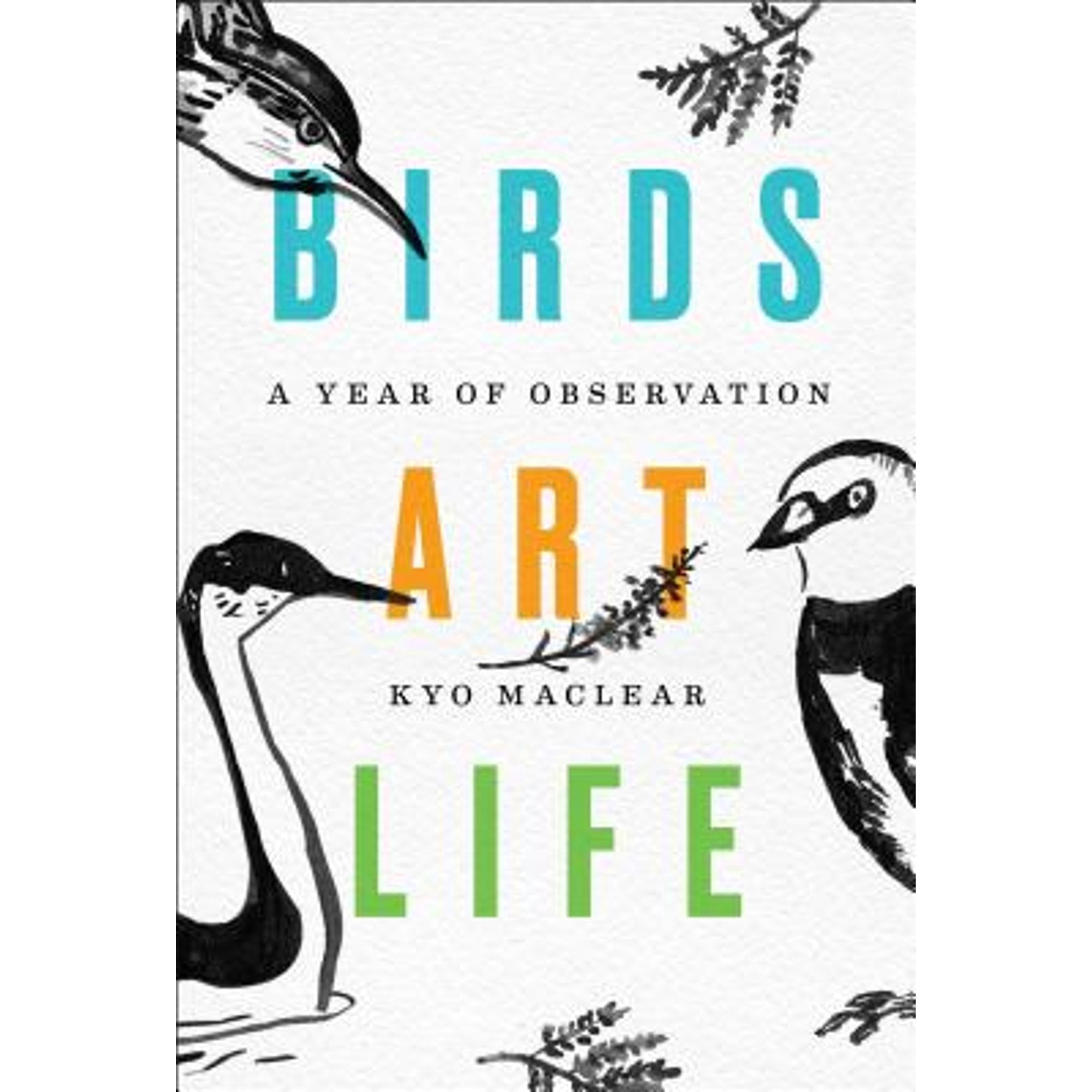 Pre-Owned Birds Art Life: A Year of Observation (Hardcover) 1501154206 ...
