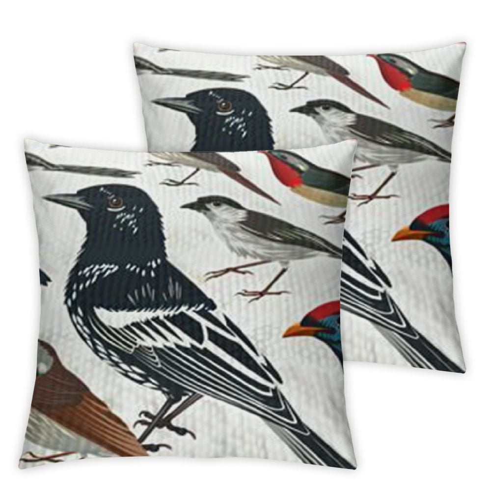 Birds Bedspread, Winged Animal Infographic Pigeon Starling Owl Pheasant Sparrow Blackcock Quail ...