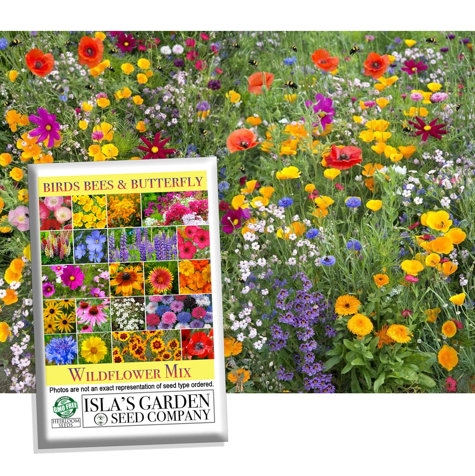 Birds, Bees & Butterflies Wildflower Mix - MHD1500+ Seeds/PK by Garden ...