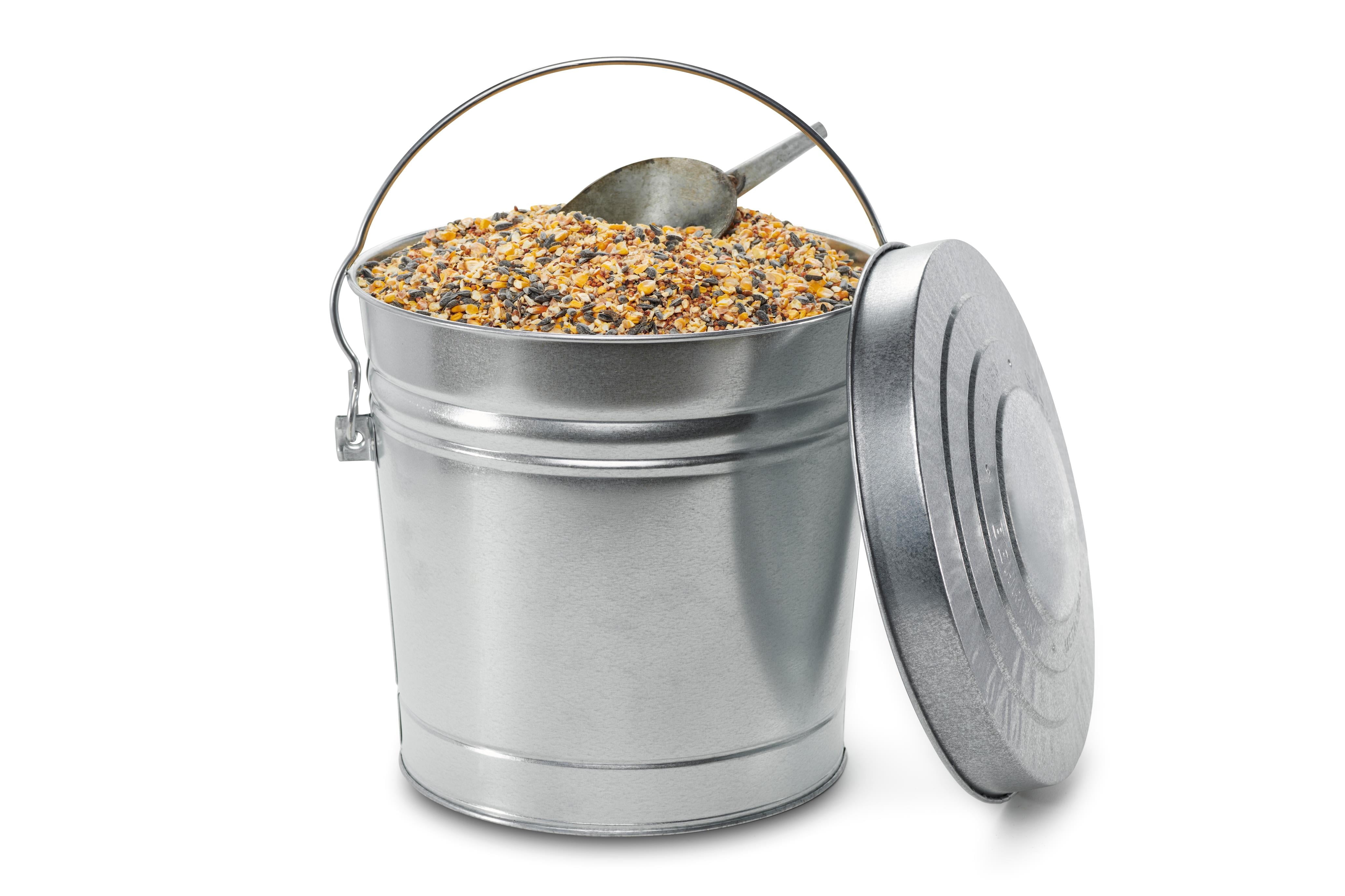 Birds Choice Galvanized Steel Bird Seed Container, Locking Lid, 6 ...
