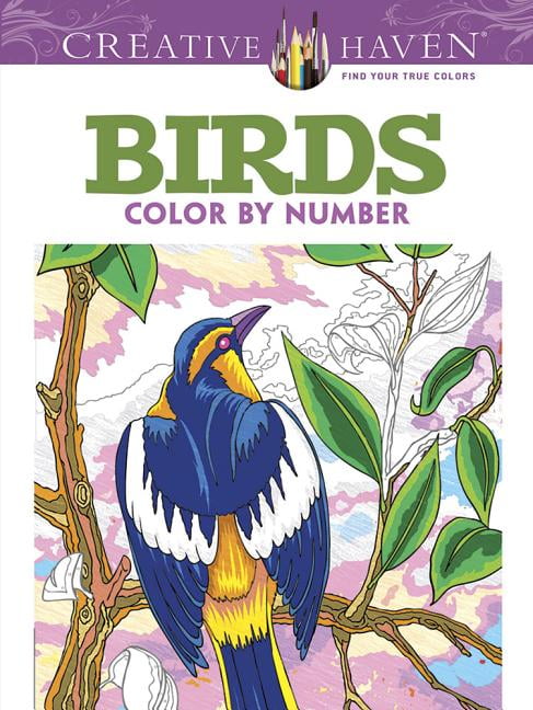 Birds Color by Number Coloring Book - Walmart.com