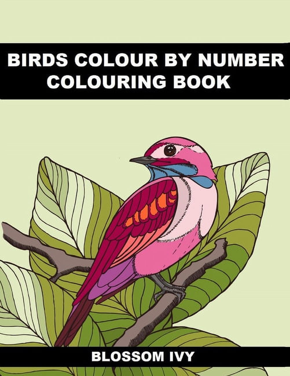 Birds Colour by Number Colouring Book: Beautiful Birds Colouring Book ...
