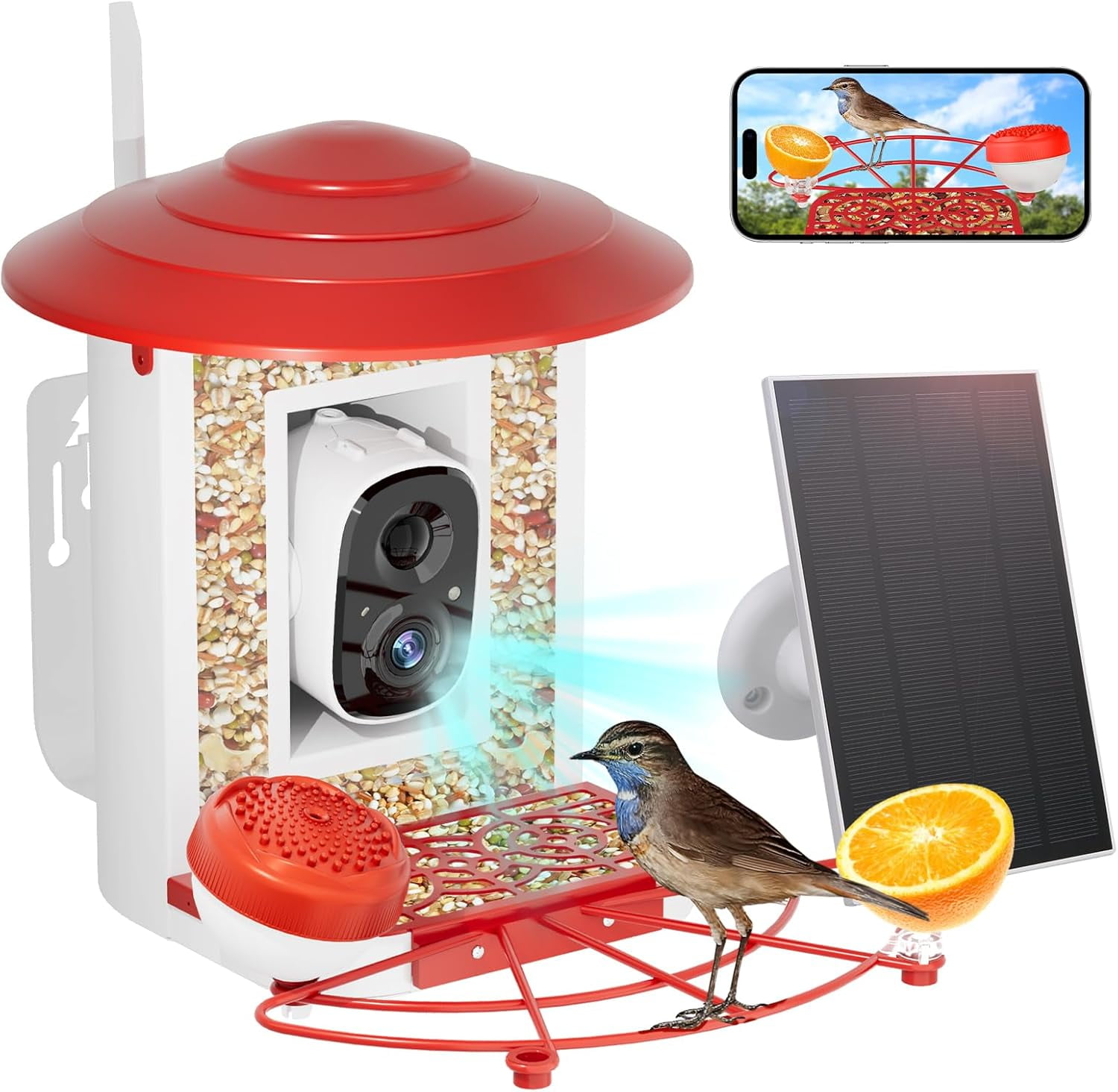 Birds Feeder Cameras 2K HD AI Identify Bird Species Camera Birdfeeder ...