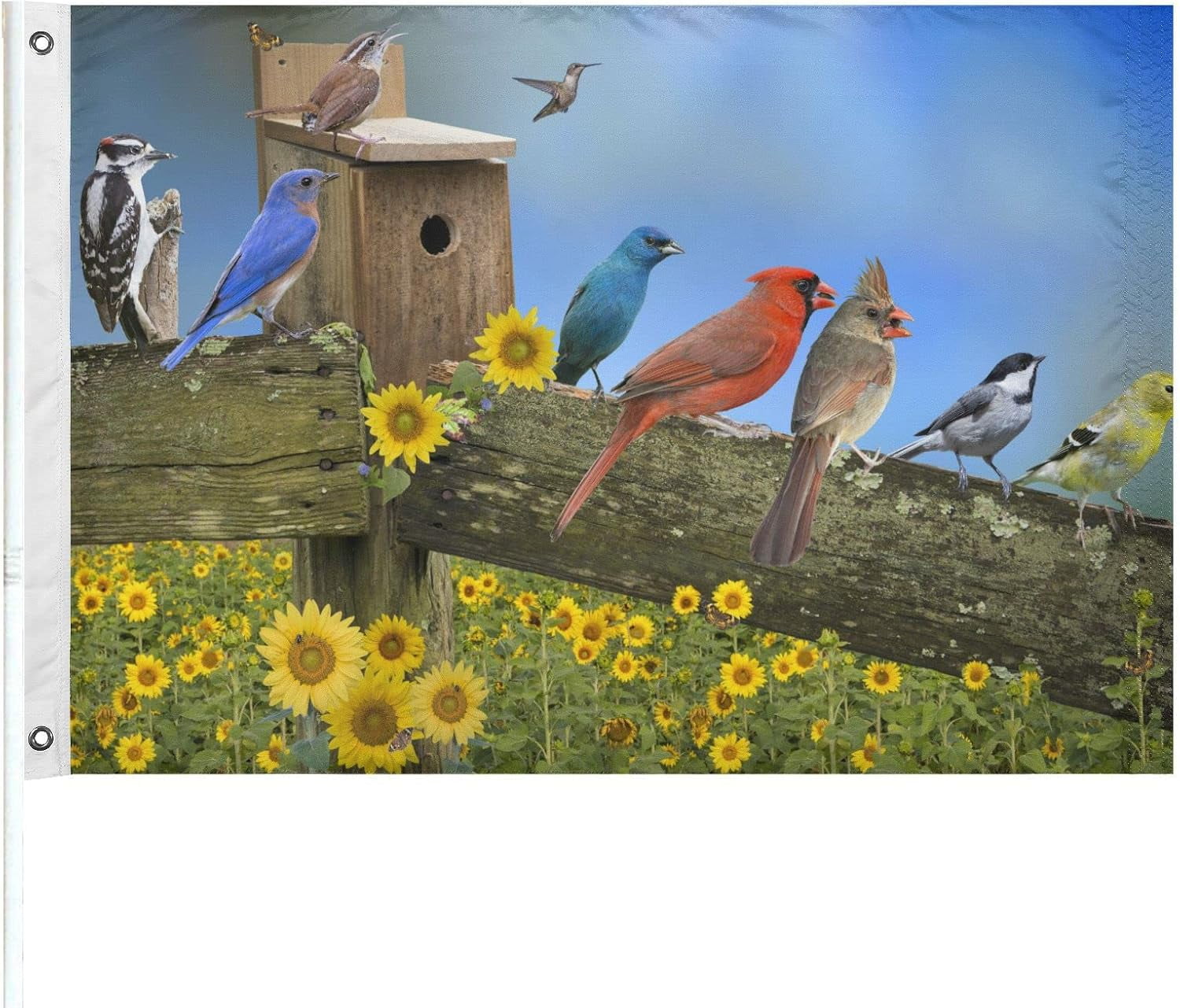 Birds Flag Outdoor Garden Flag for Outside Funny Flags with Brass ...