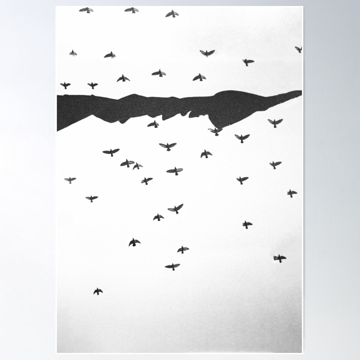 Birds Flying Film Photography Poster Wall Art, Modern Wall Decor For ...