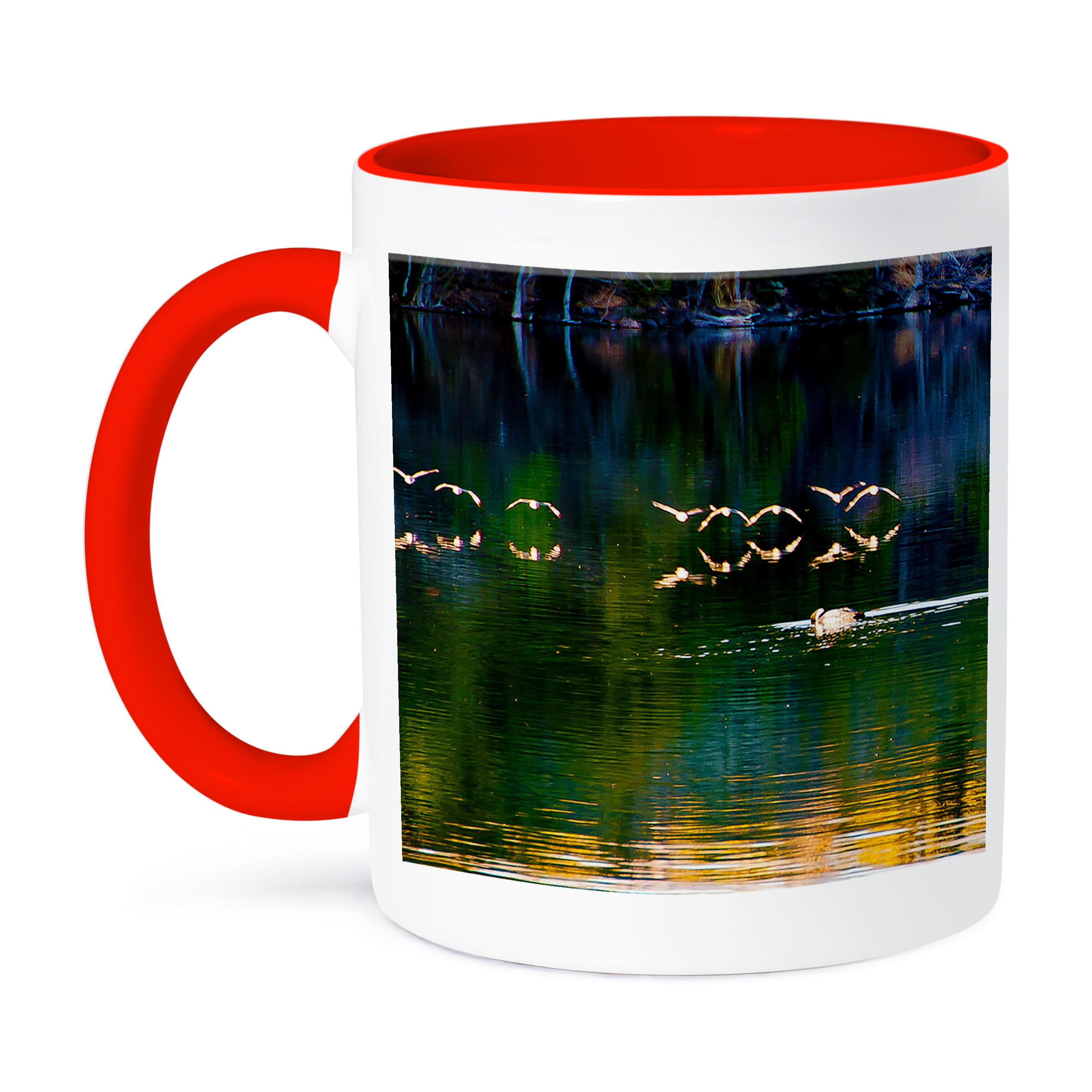 Birds Flying Over Water At Baker Dam In Utah With Their Reflection On Orange, Green And Blue ...