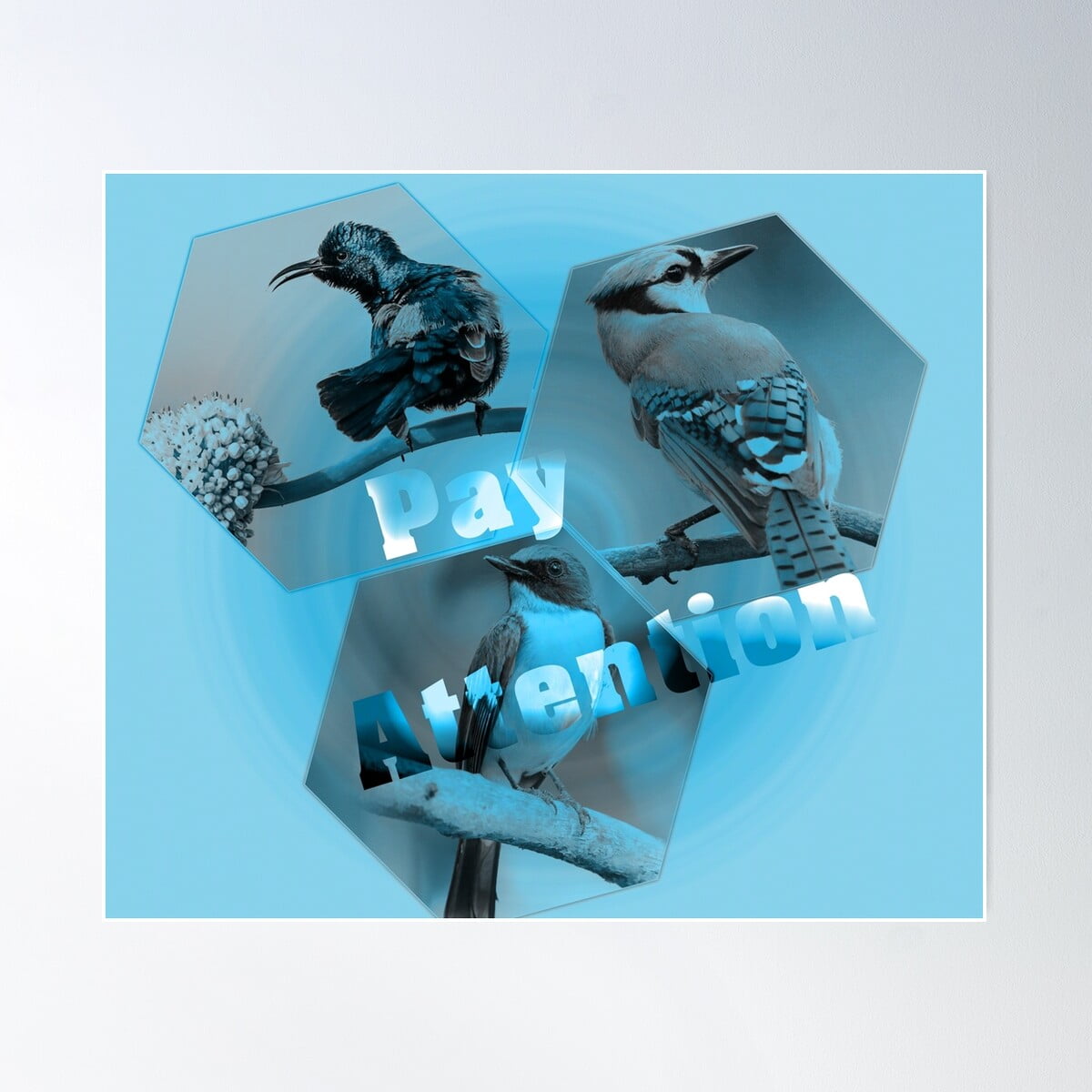 Birds Focused In Different Directions Poster Wall Art, Modern Wall ...