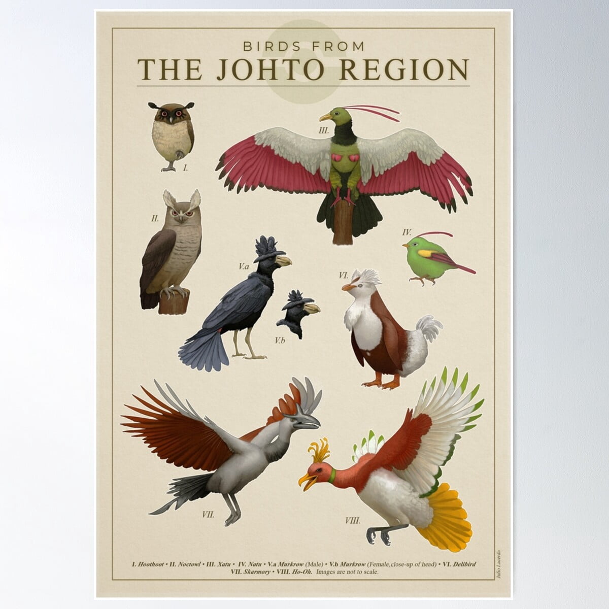 Birds From Johto Poster Wall Art Modern Wall Decor For Living Room ...
