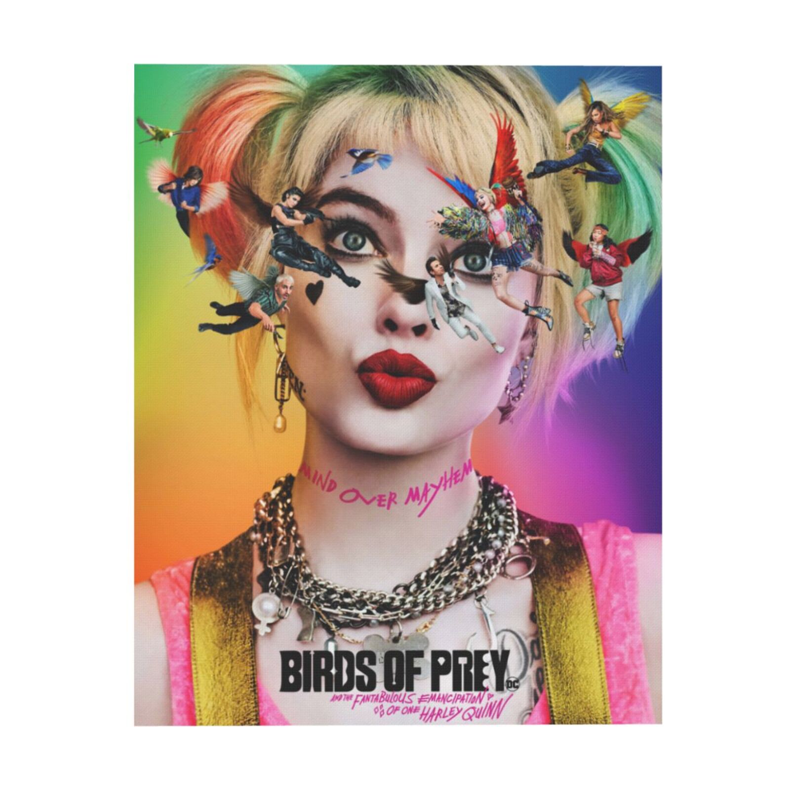 Birds Harley Quinn of Prey Canvas Decorative Poster Art Picture ...