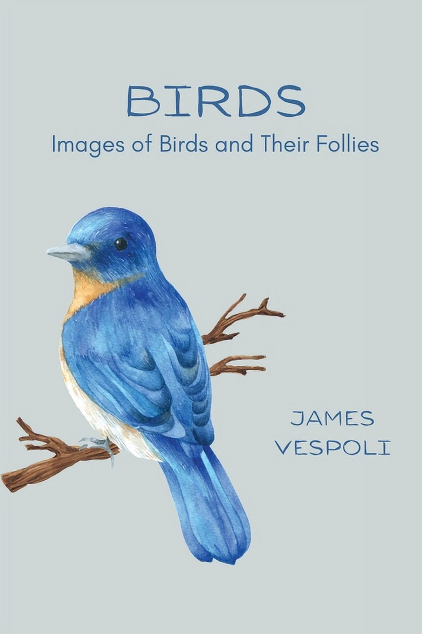 Birds: Images of Birds and Their Follies, (Paperback) - Walmart.com