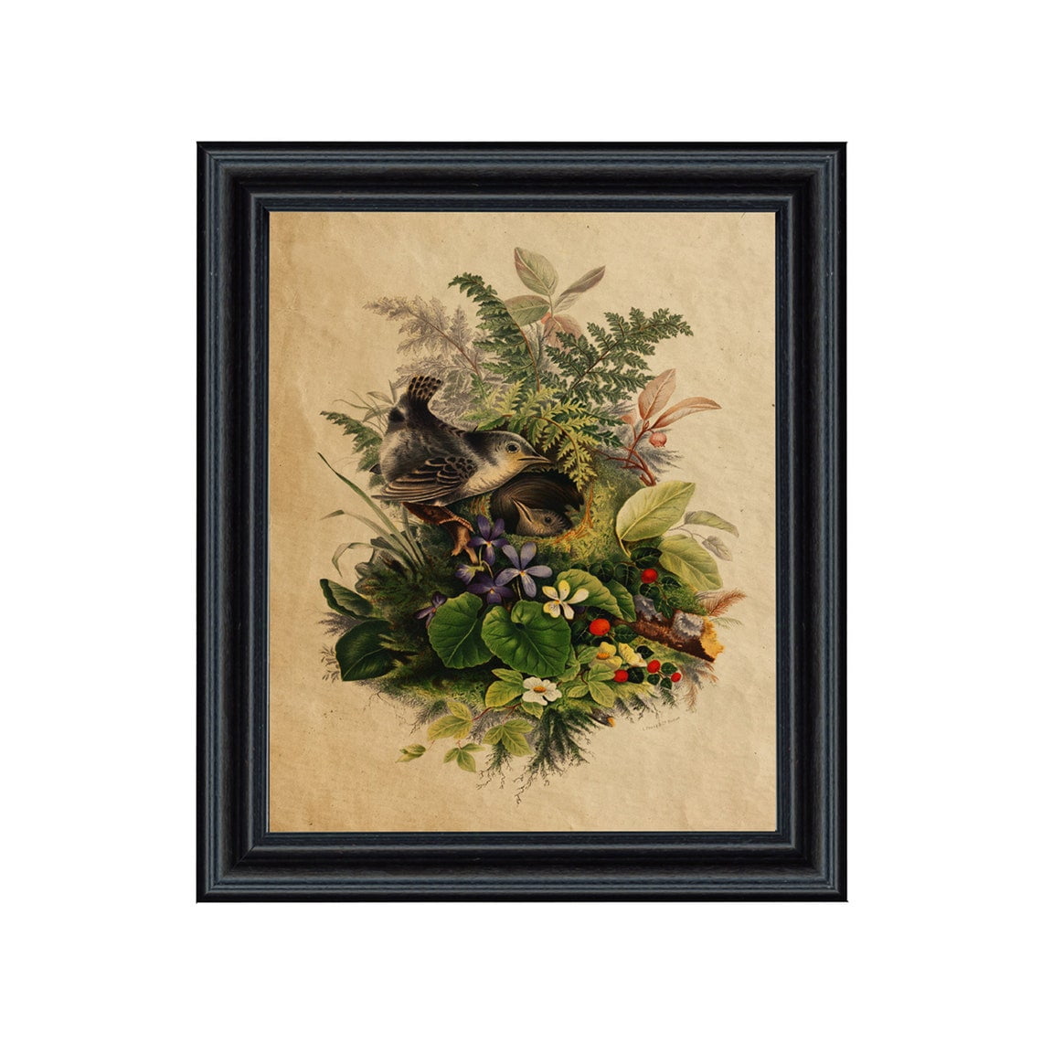 Birds In Nest Cottagecore Reproduction Print, Unframed Paper Poster ...