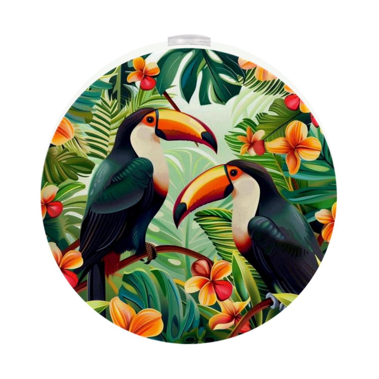 Birds LED Round Night Light-2PCS, Plug-in Auto Dusk to Dawn Sensor ...