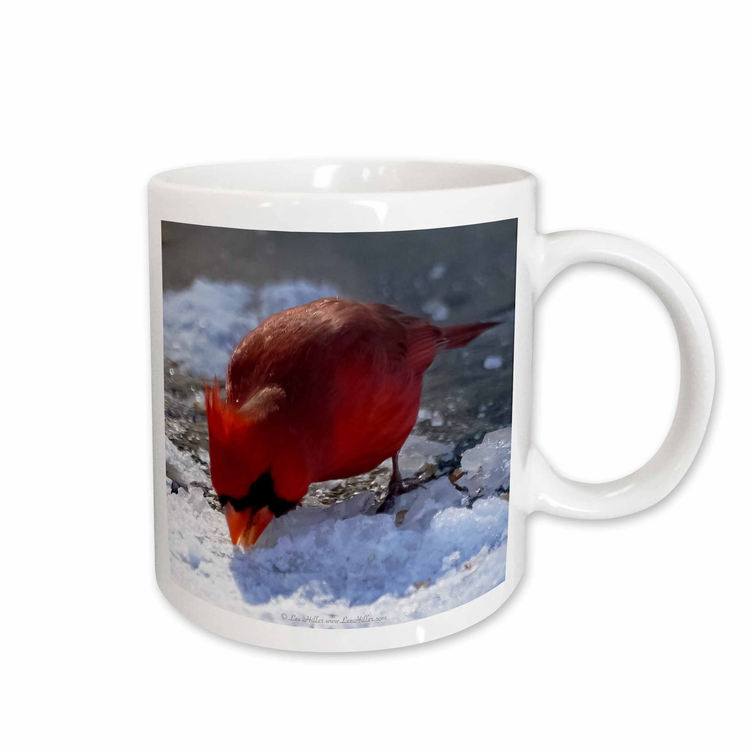 Birds Male Cardinal Eating Frozen Snow 15oz Mug mug-18036-2 - Walmart.com